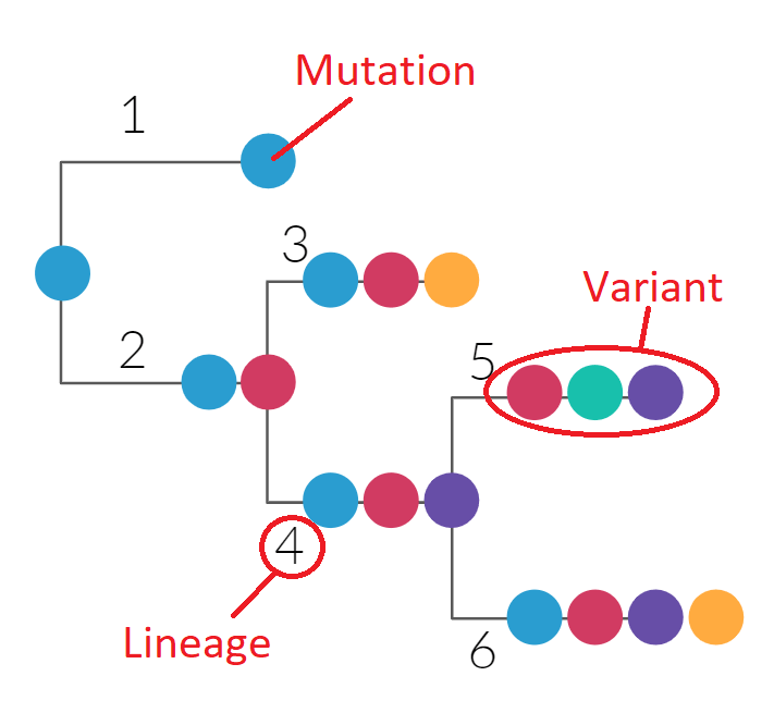 outbreak.info SARS-CoV-2 data explorer
